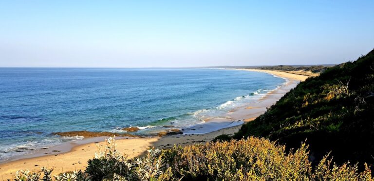 Cape Conran Camping Coastal Park – Conran Camping